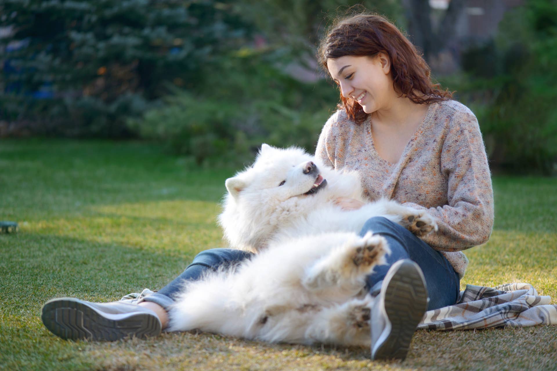 7 Big Fluffy Dog Breeds That Love to Cuddle - Parade Pets