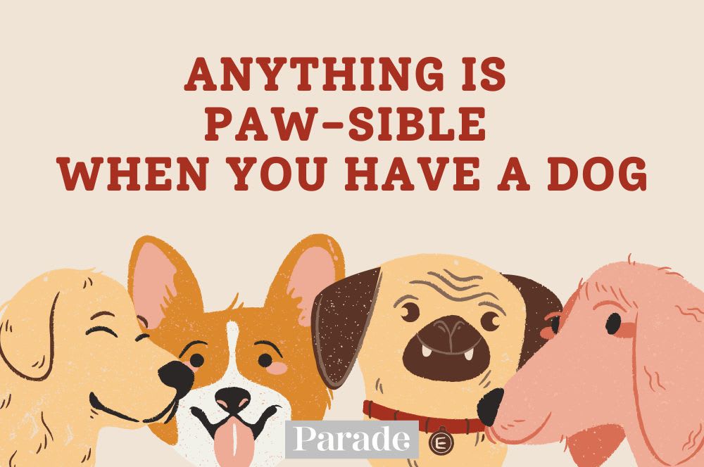 50 Funny Dog Puns That Are Paw-some (2024)