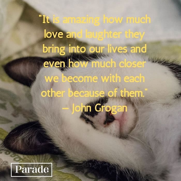 100+ Pet Loss Messages To Write in a Sympathy Card