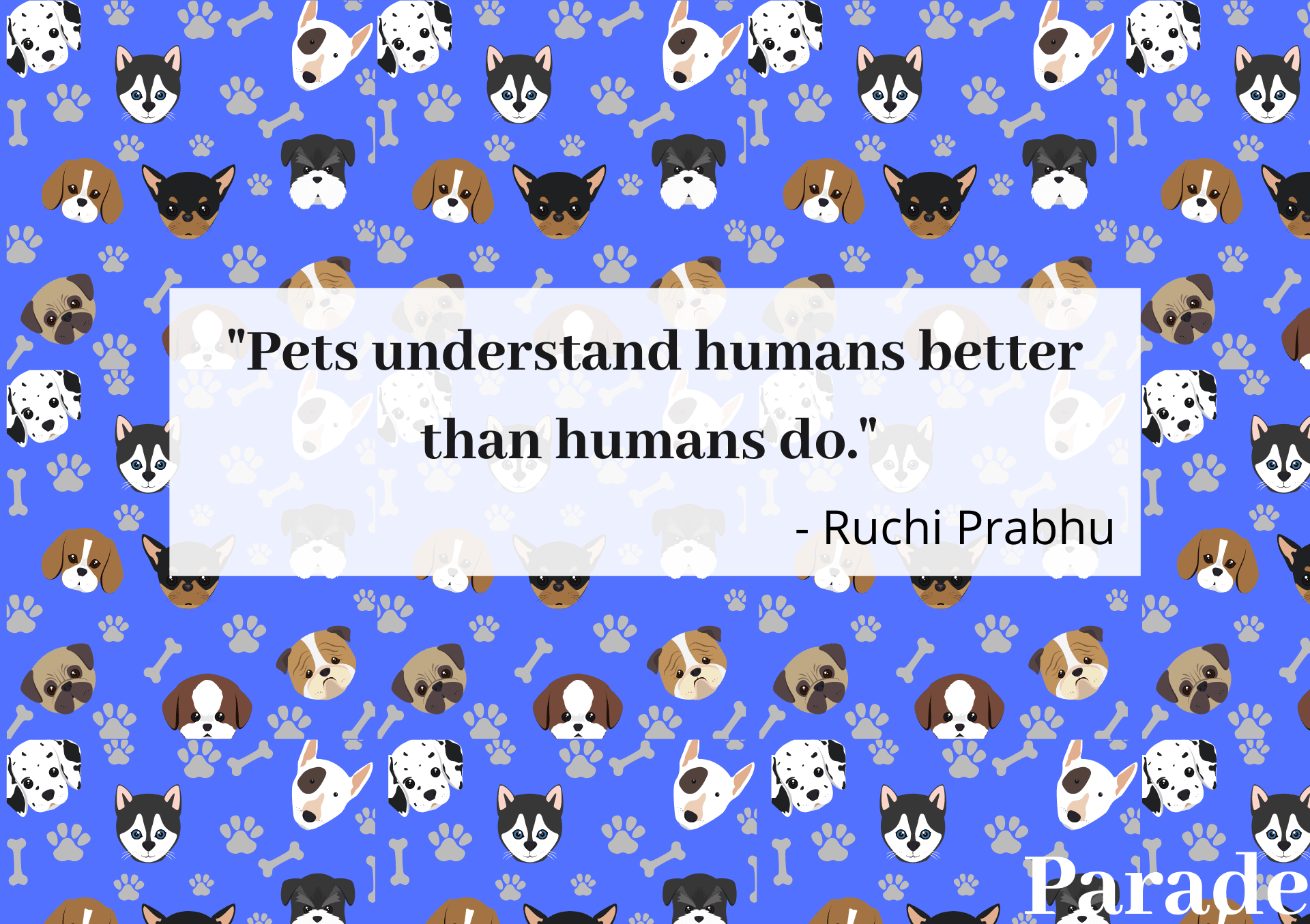 300 Best Pet Quotes to Share Your Love of Animals