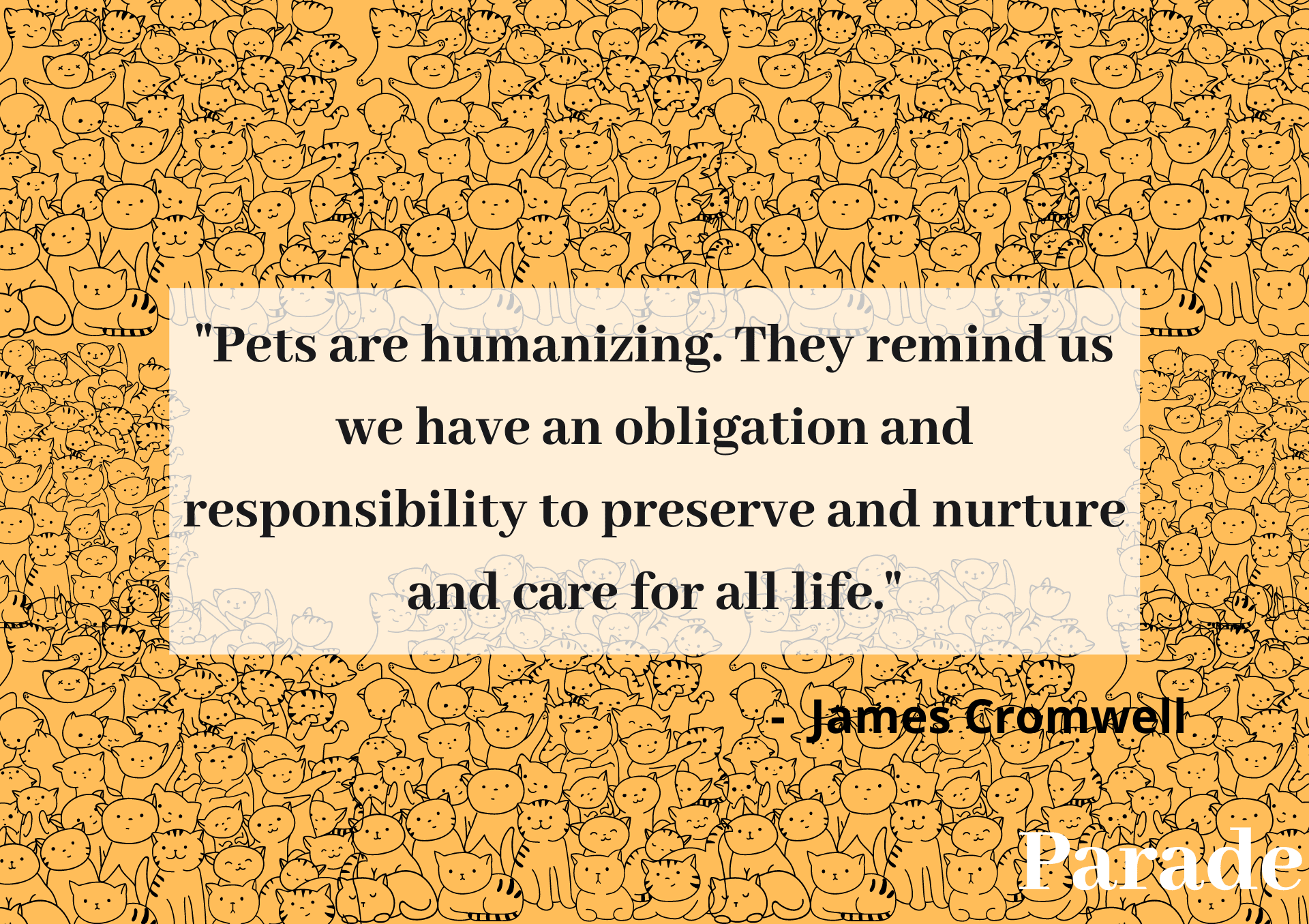 300 Best Pet Quotes to Share Your Love of Animals