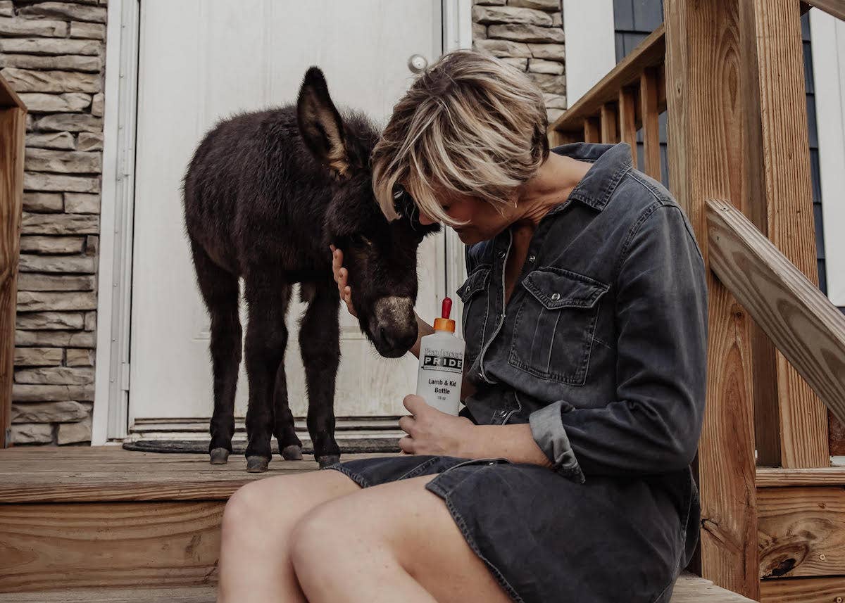 Exclusive: Cash the Donkey Was Rejected By His Mom, Now He's a Children ...