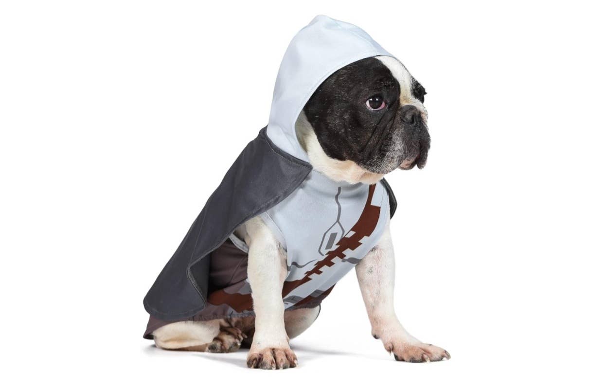 13 Best 'Star Wars' Costumes for Dogs This Halloween - Parade Pets