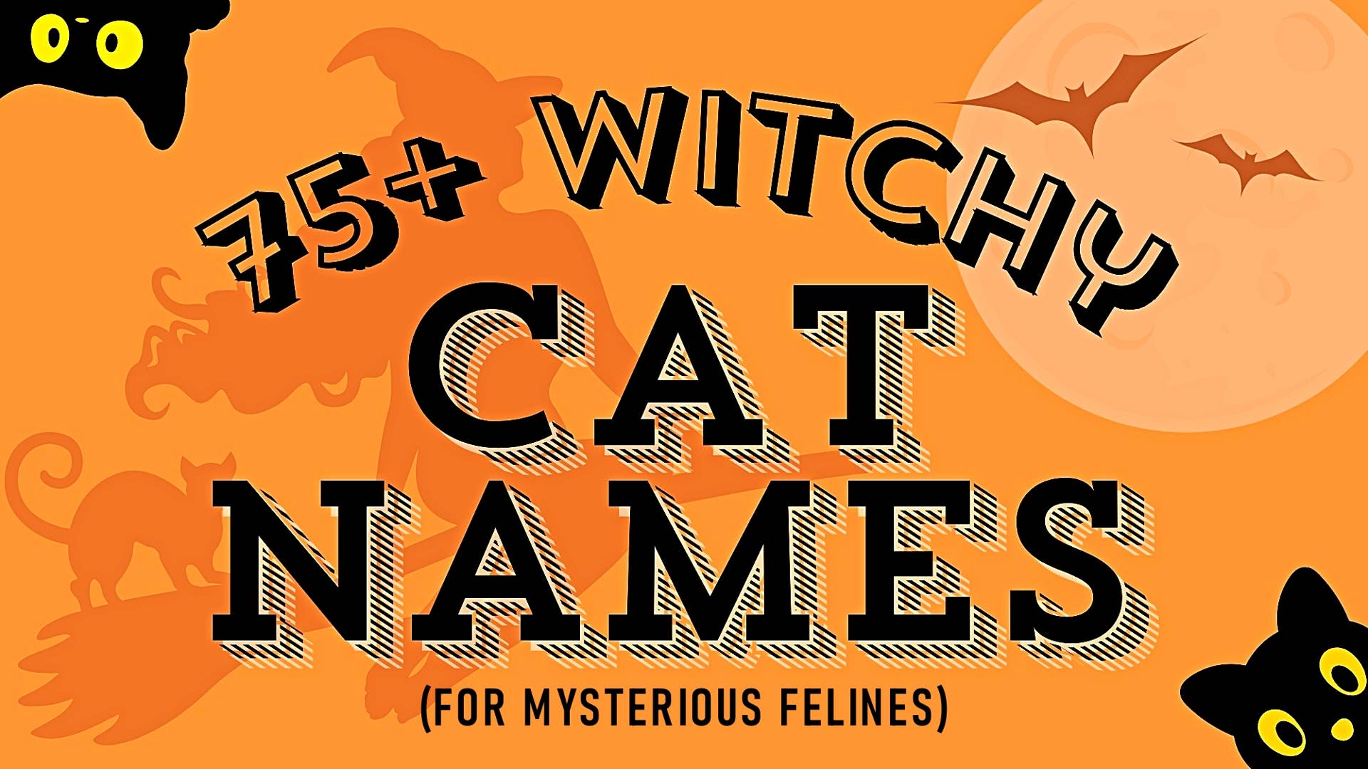 75+ Witchy Cat Names - Parade Pets