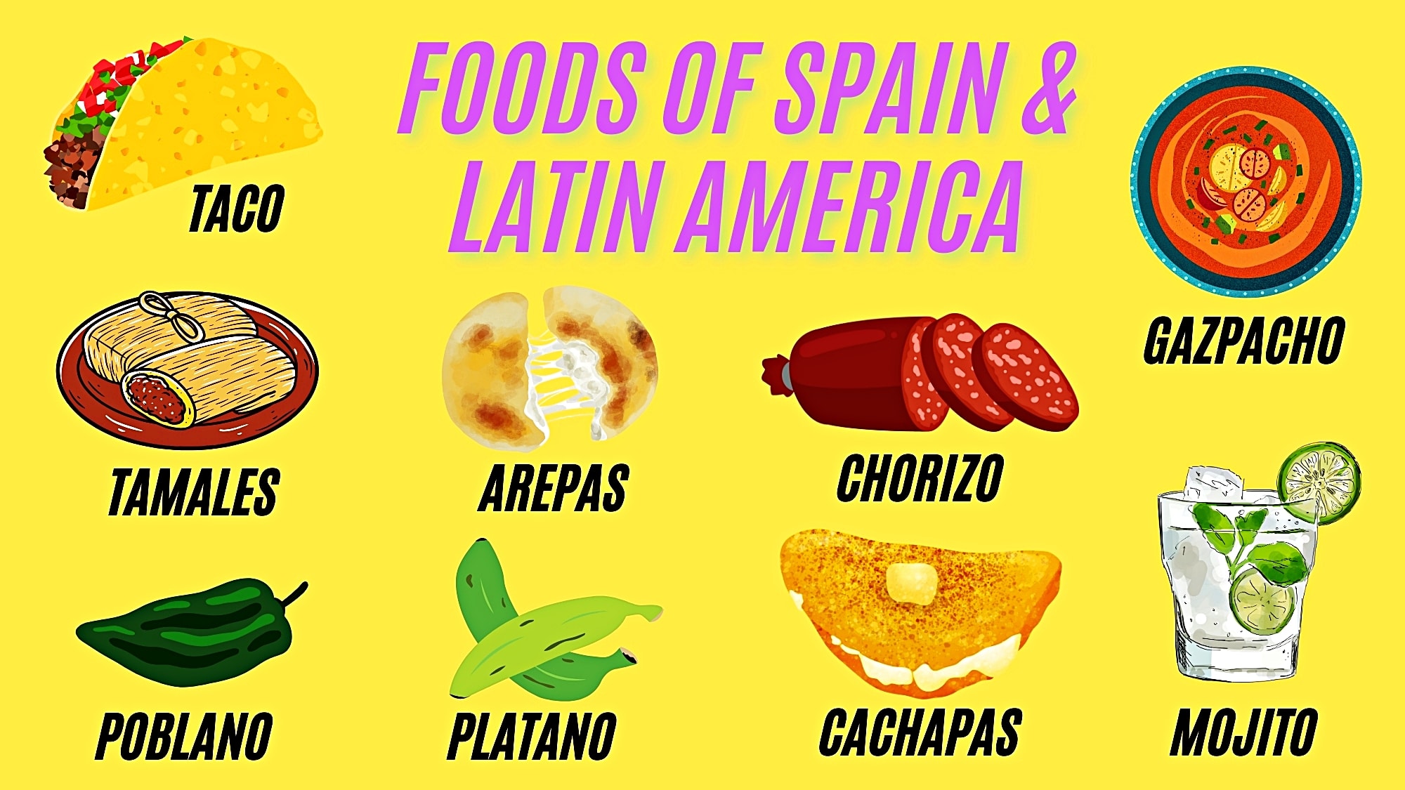 215+ Spanish Dog Names (with Meanings) - Parade Pets