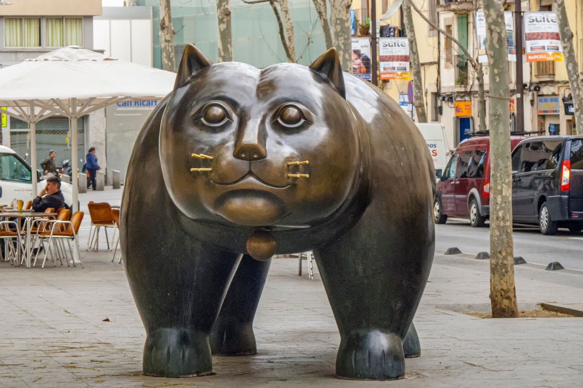 175+ Spanish Cat Names (Male and Female Ideas) - Parade Pets