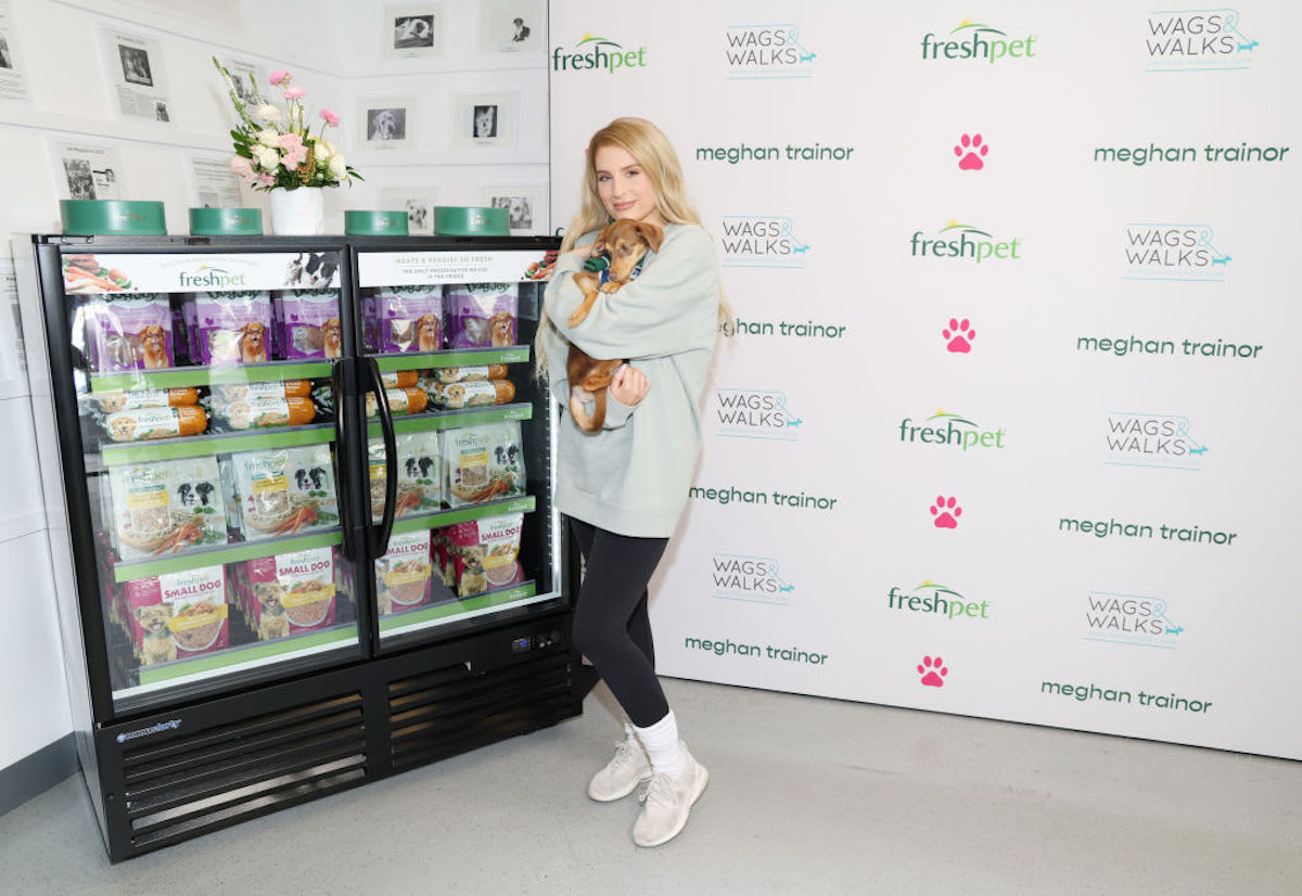 Meghan Trainor & Freshpet Get This Holiday Started with a Cute Promo to ...