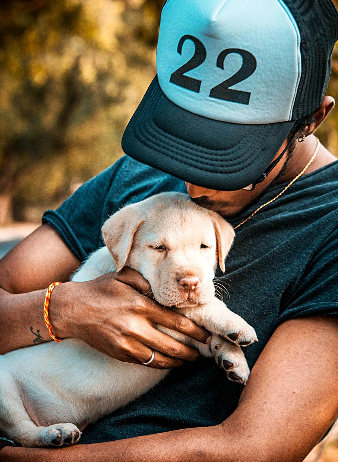 15 Velcro Dog Breeds