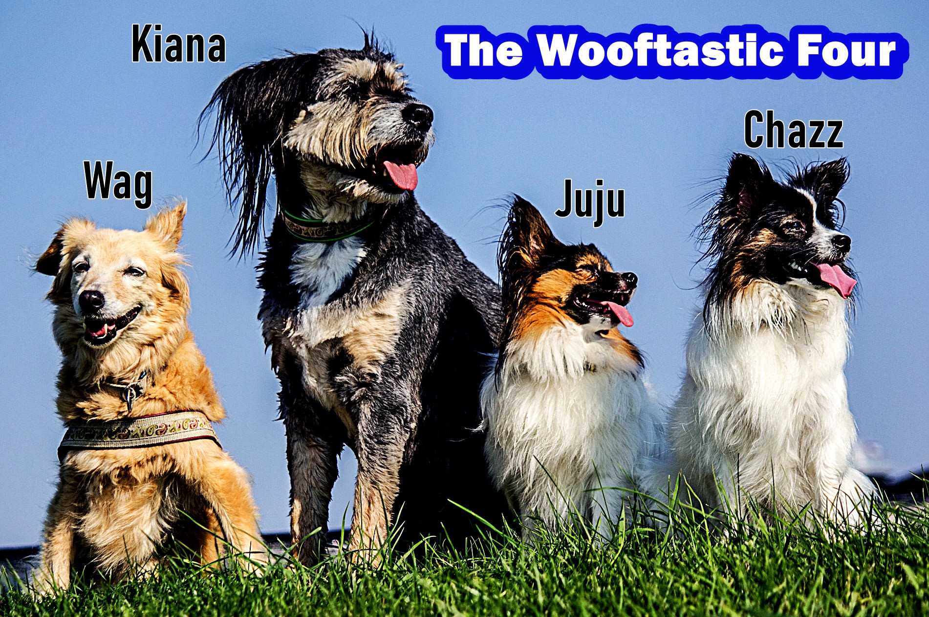 300 Unique Dog Names That Are (Almost!) As Cute as Your New Four-Legged ...