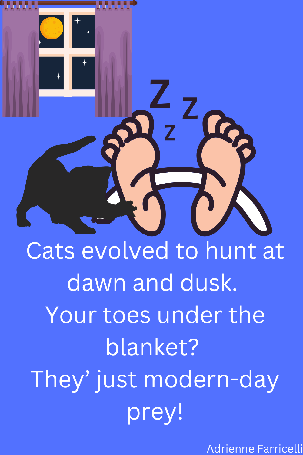 This Is Why Cats Suddenly Go Crazy at Night - Parade Pets