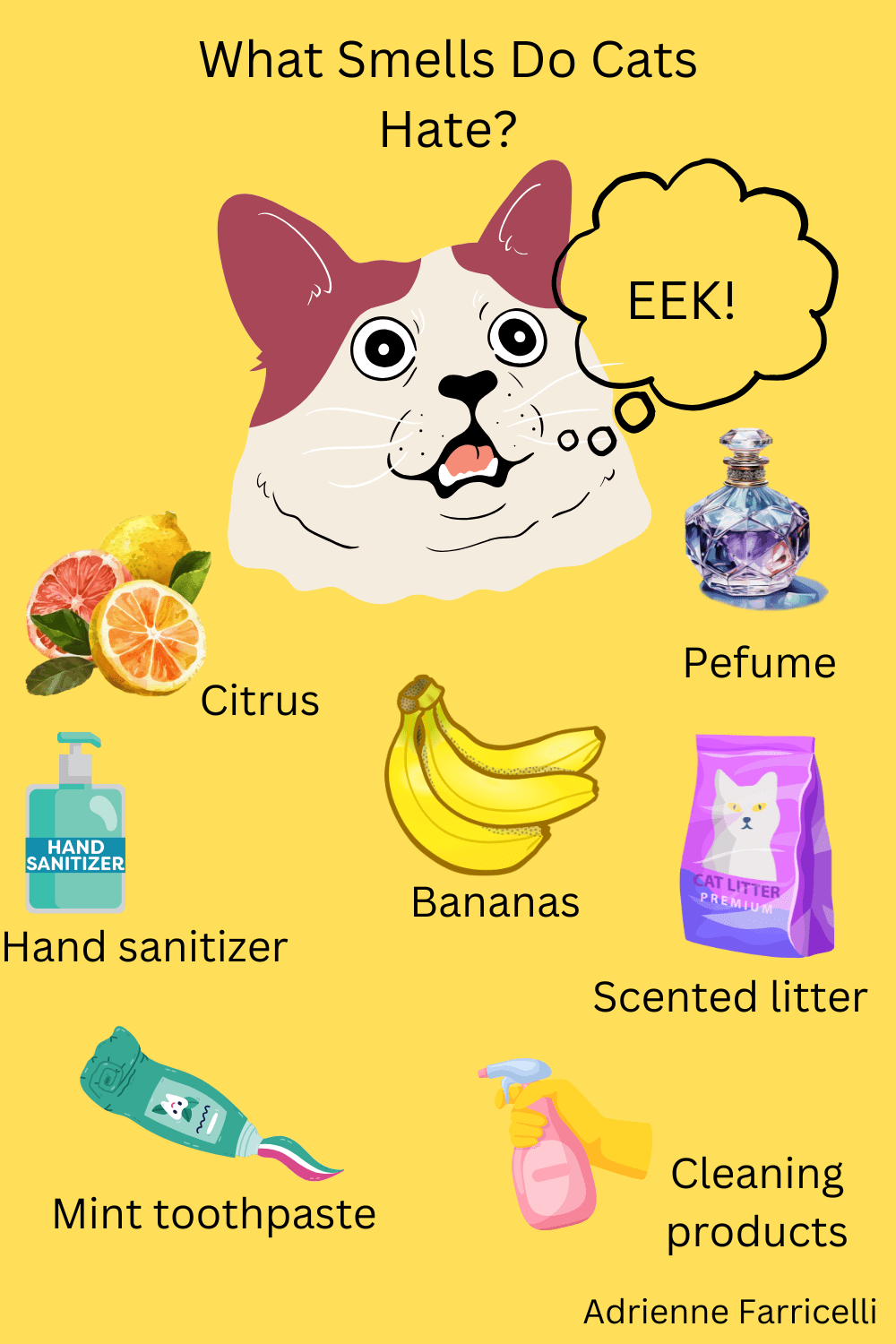 Why Do Cats Make a Face After Smelling? - Parade Pets