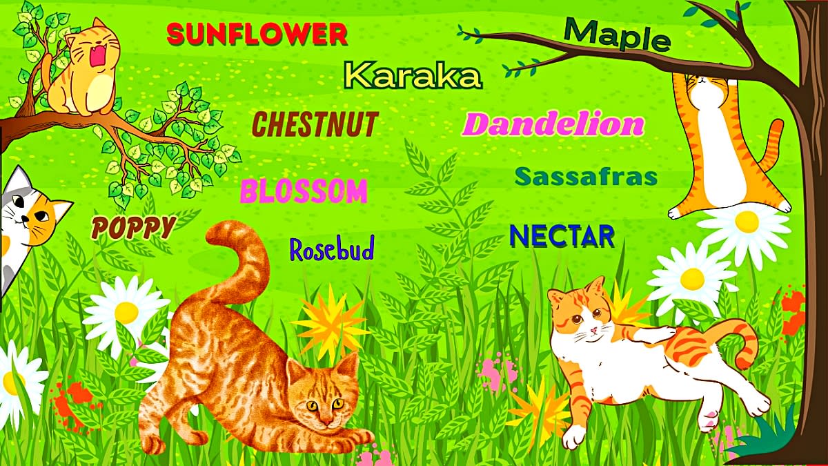 300 of the Best Names for Orange Cats - Parade Pets