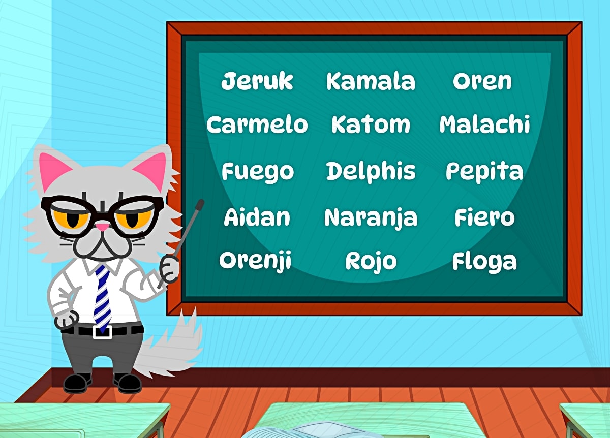 300 of the Best Names for Orange Cats - Parade Pets