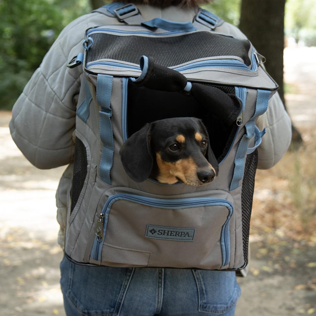 Chewy's Sherpa Trek 2-in-1 Pet Carrier Is a Must-Have