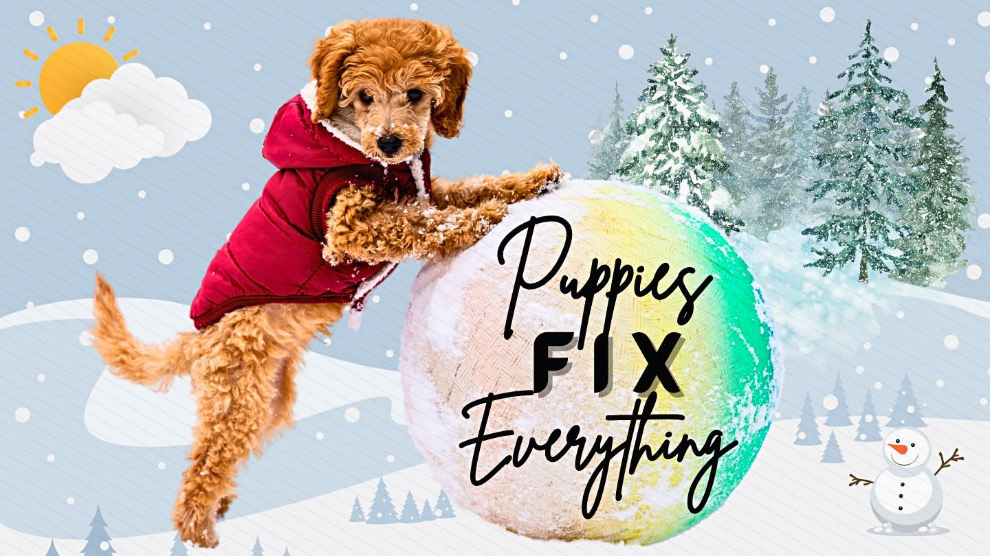 210 Best Quotes About a Dog's Love and Loyalty