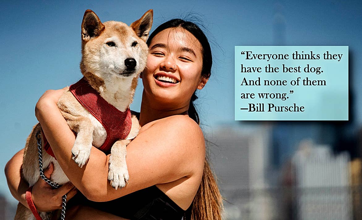 210 Best Quotes About a Dog's Love and Loyalty