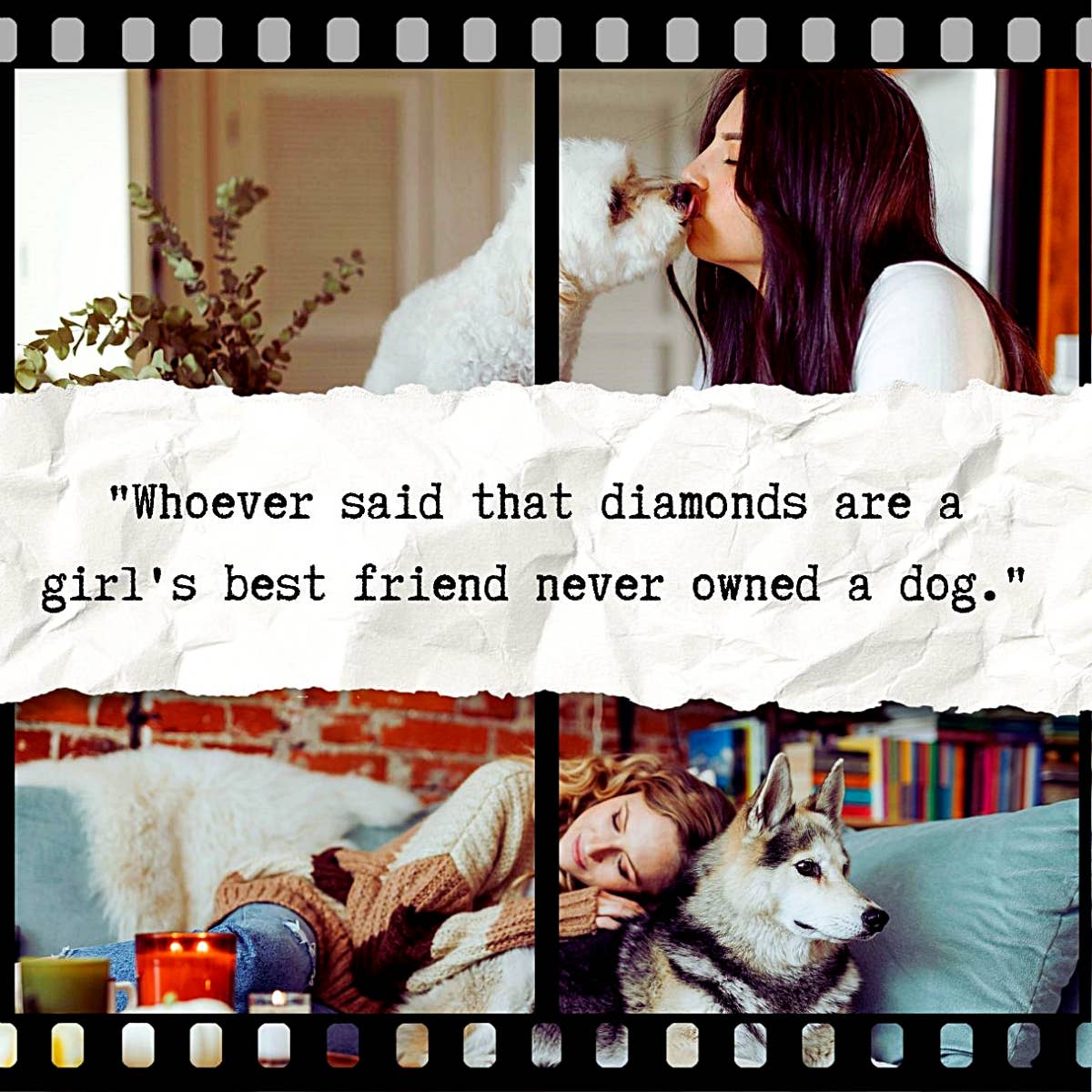 210 Best Quotes About a Dog's Love and Loyalty