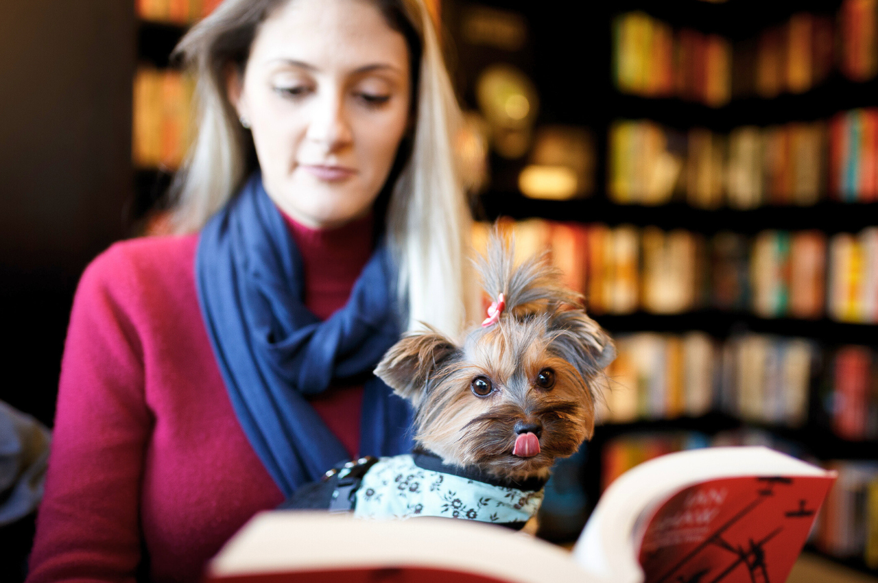 25 Unexpected Places You Can Bring Your Dog To - Parade Pets