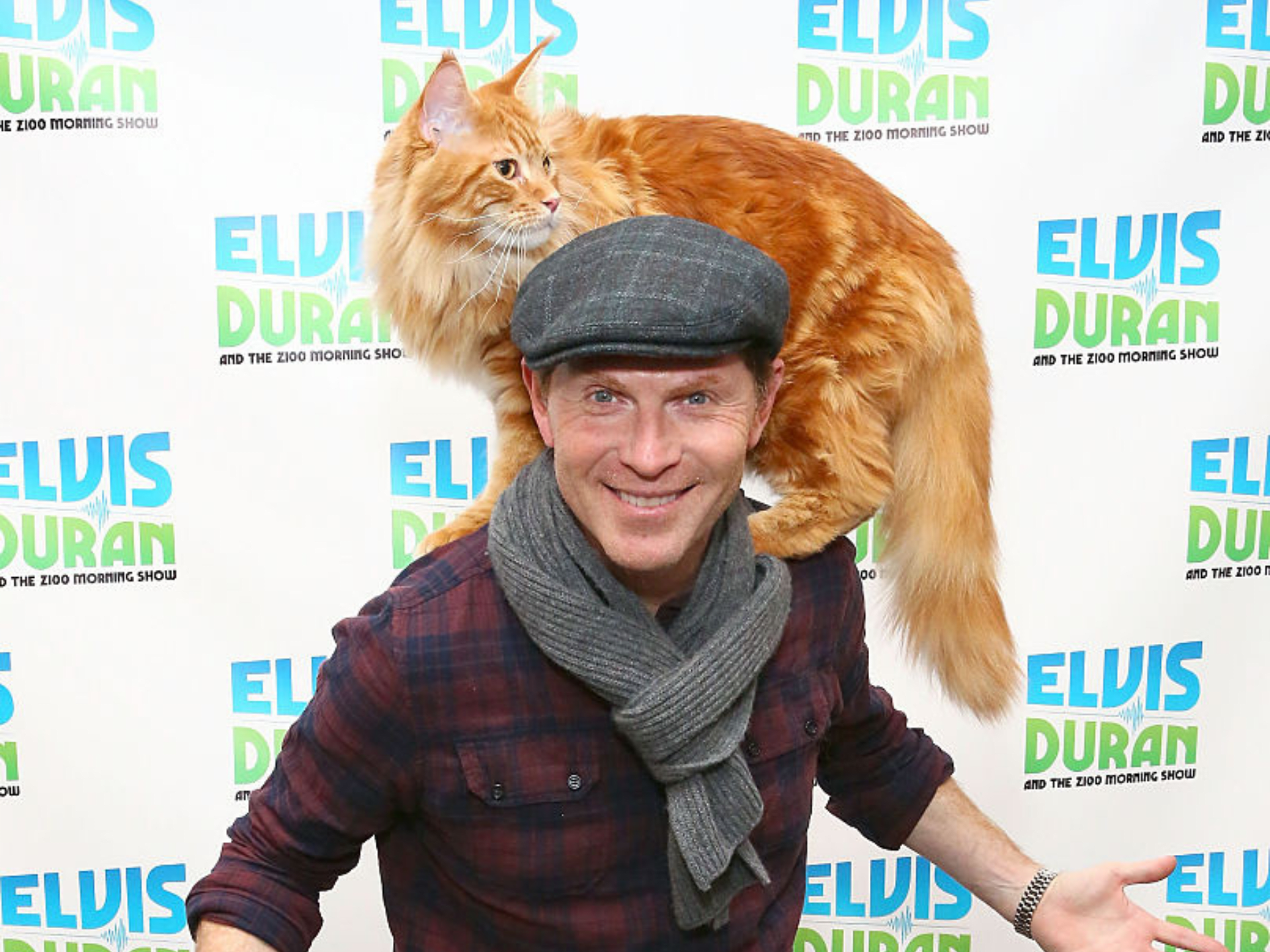 Bobby Flay's New Gourmet Cat Food Review - Parade Pets