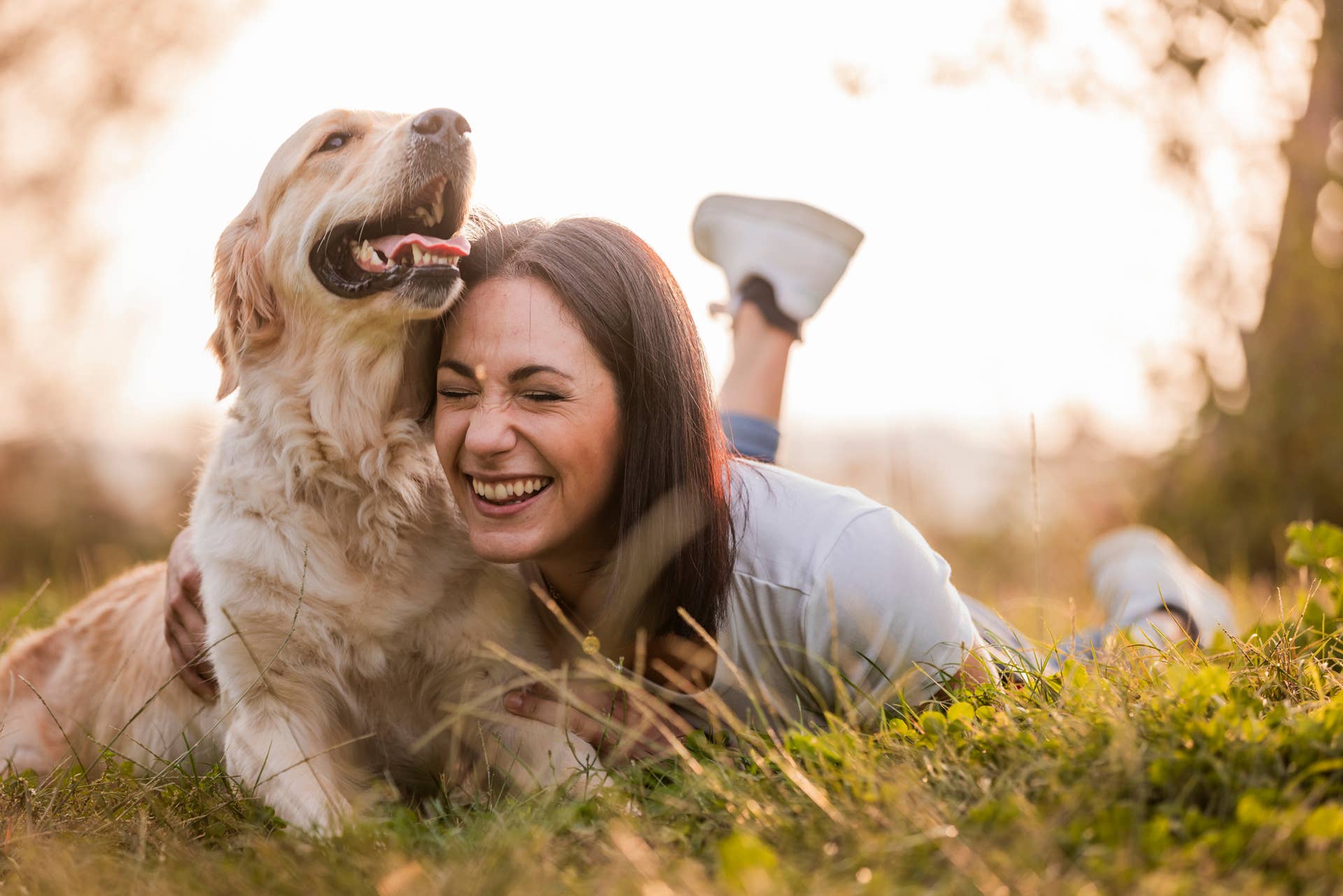Soul Dog: 14 Signs Your Dog Is Your Soulmate - Parade Pets