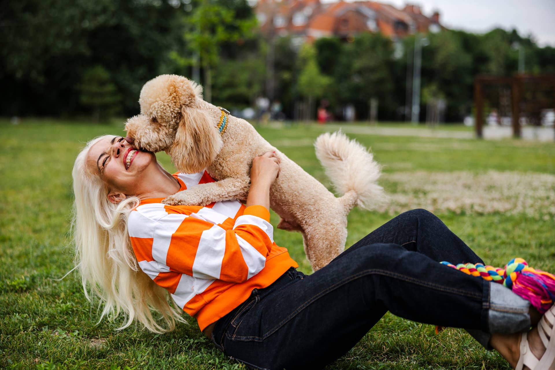 Soul Dog: 14 Signs Your Dog Is Your Soulmate - Parade Pets