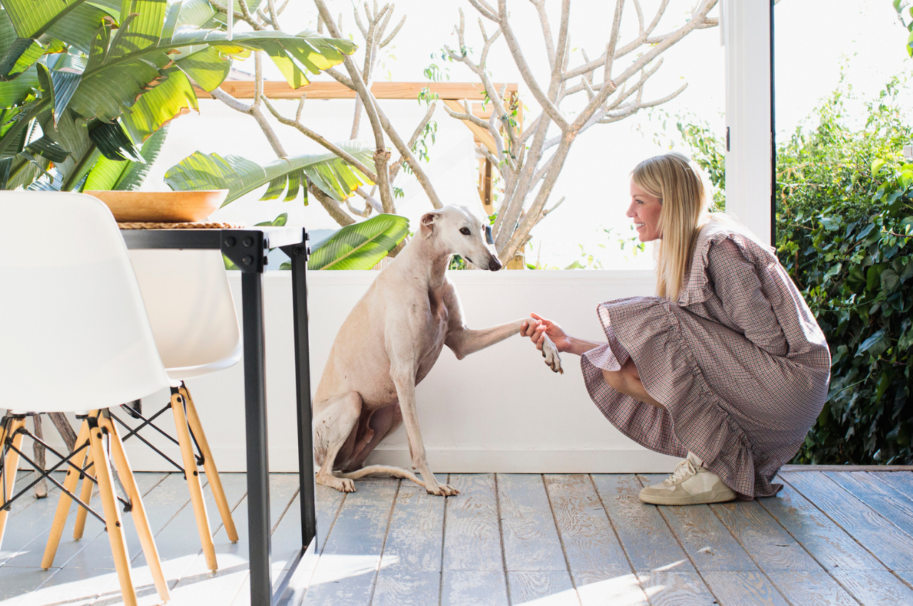 The Dog Breed That's Surprisingly Perfect for Homebodies - Parade Pets