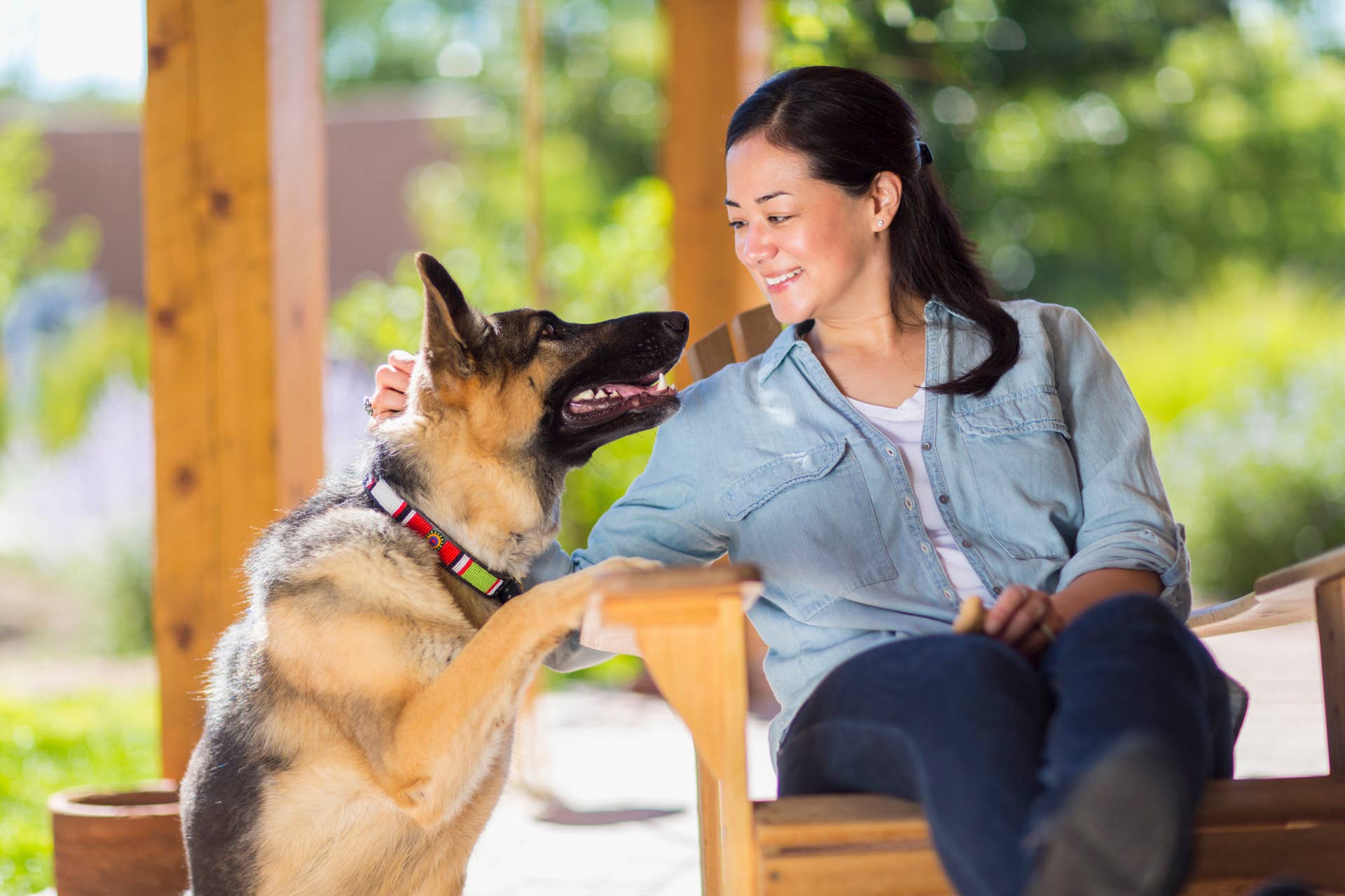 5 Best Guard Dog Breeds for Women, According to Trainers - Parade Pets