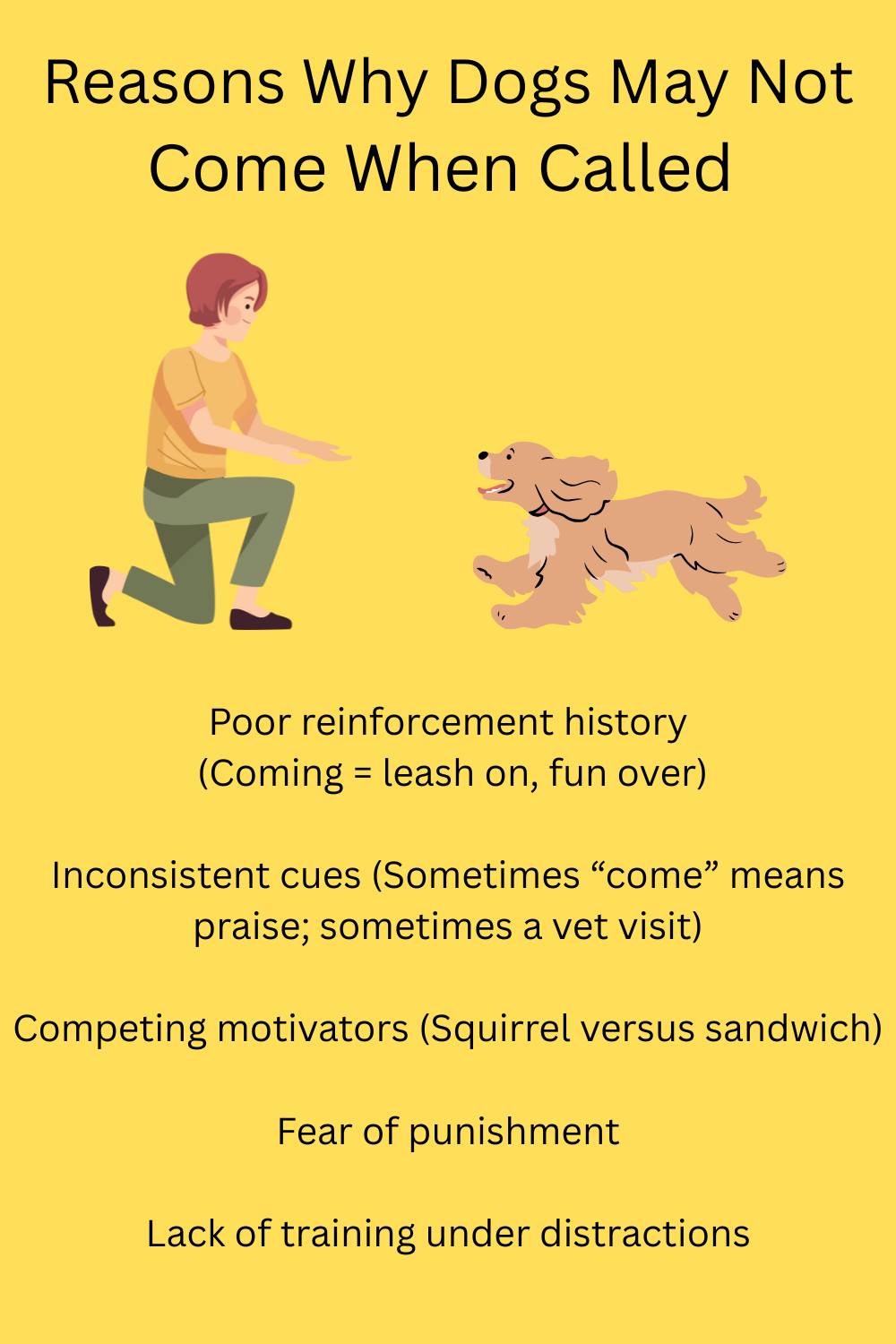 How to Teach a Dog to Come (Expert Training Recall Tips) - Parade Pets