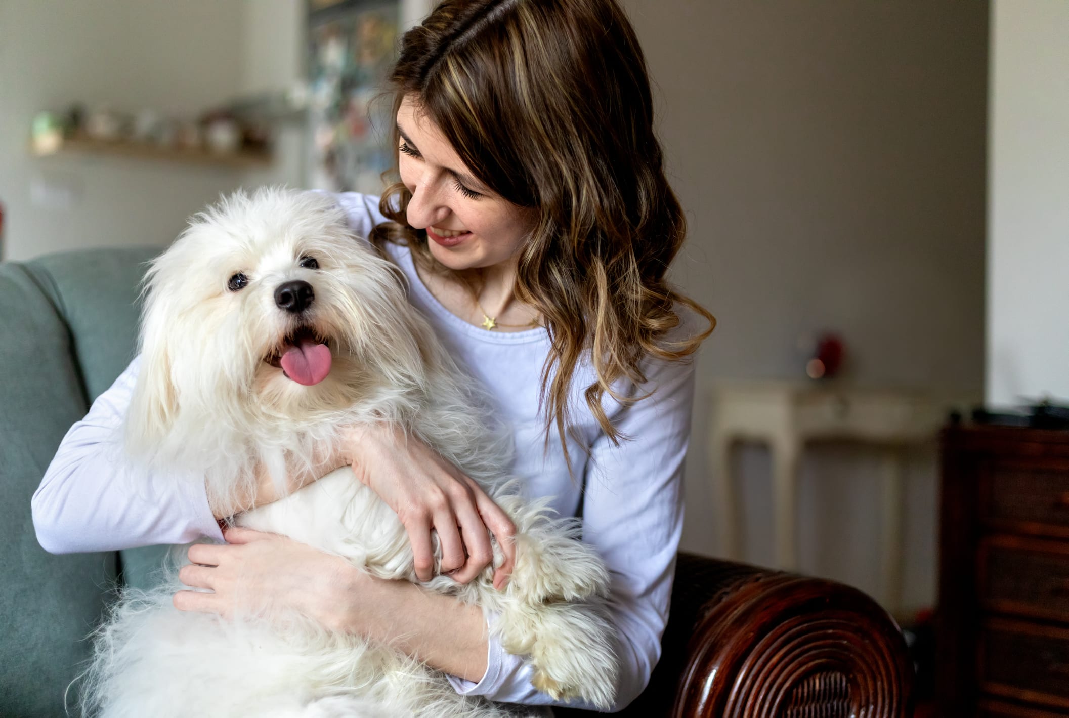 7 Softest Dog Breeds for Fluffy Fur Cuddling - Parade Pets
