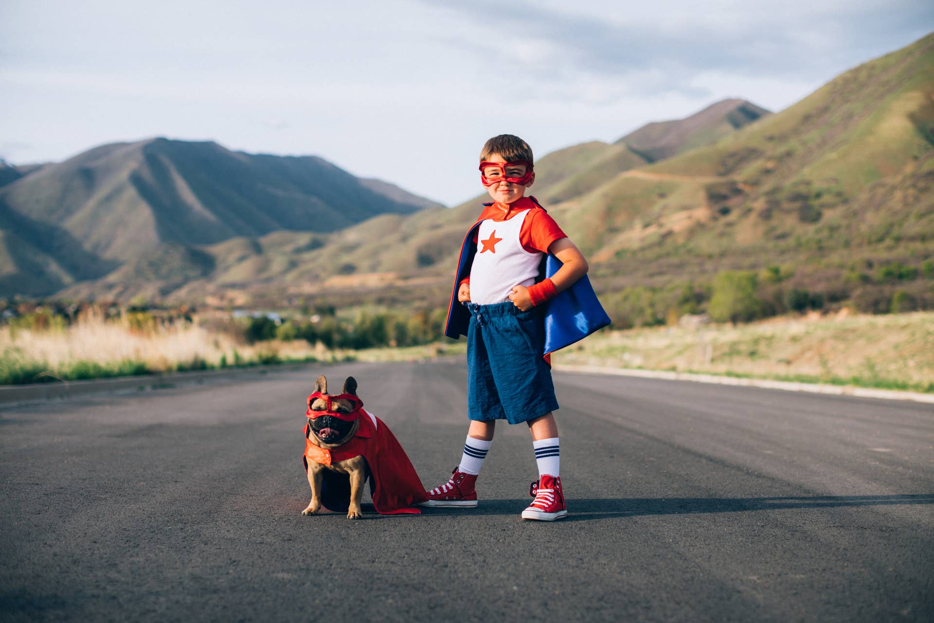 7 Best Sidekick Dog Breeds (Characteristics & Care) - Parade Pets