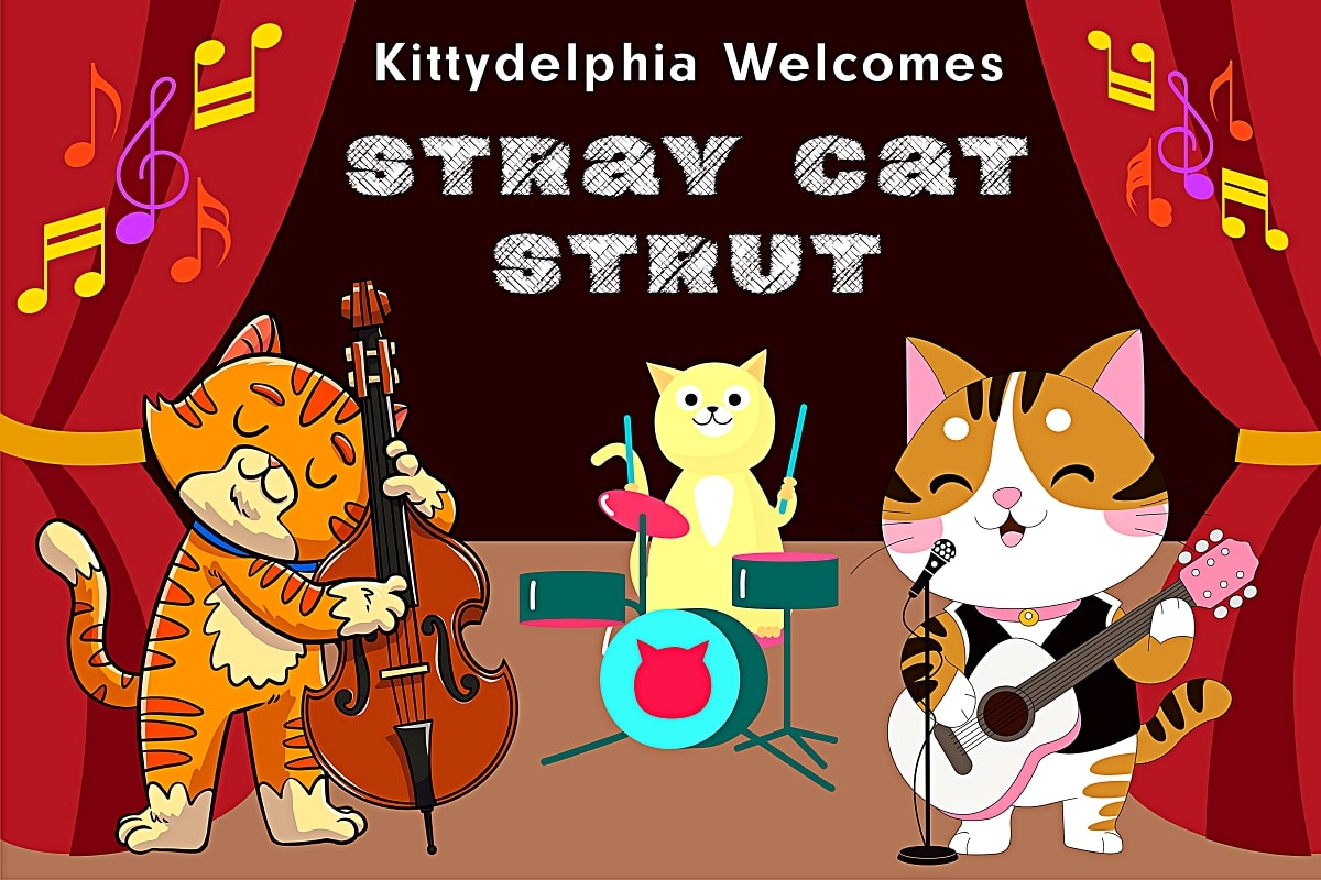 70 Funny Cat Jokes Fur You Right Meow - Parade Pets