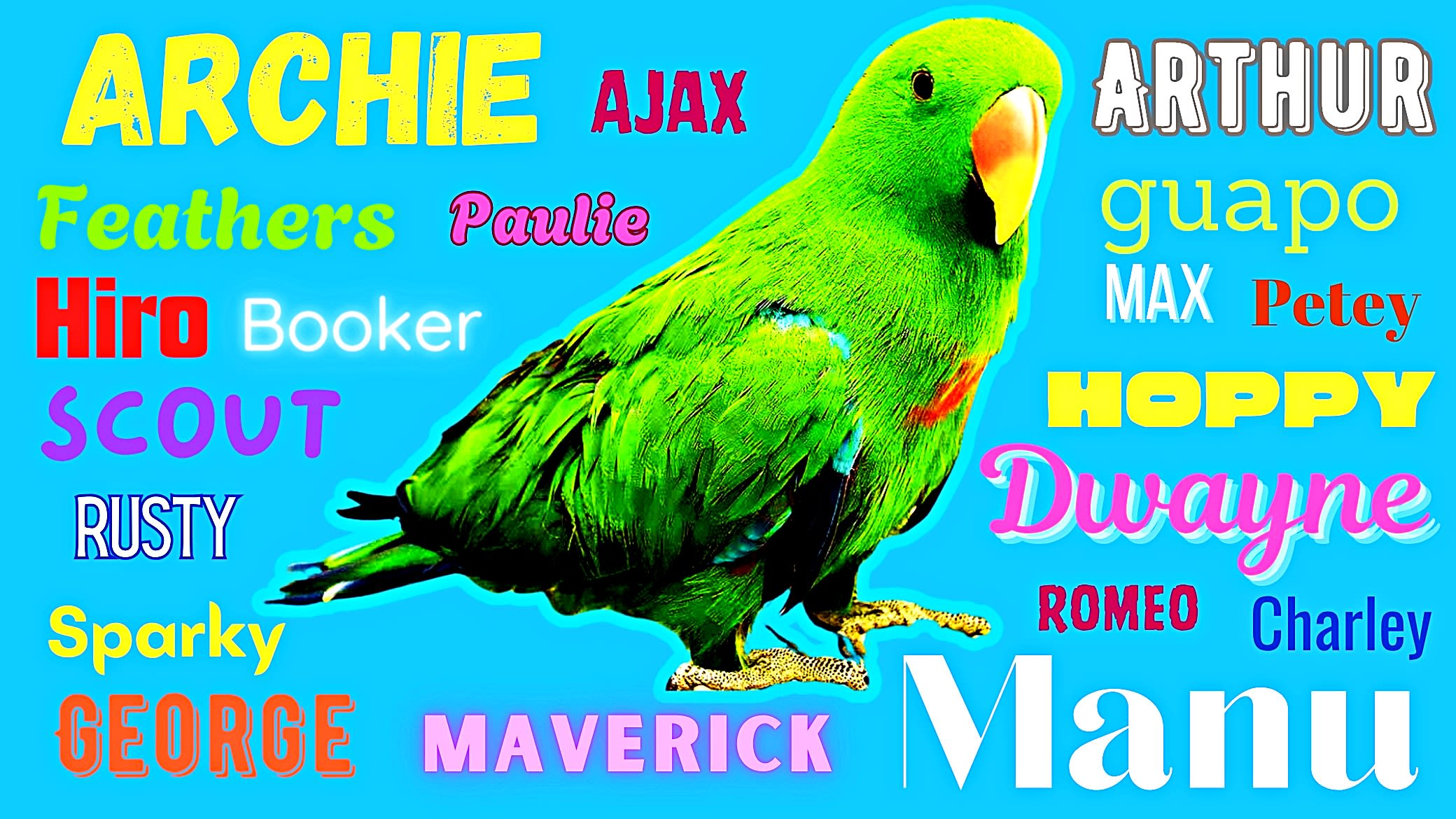 The 150 Best Bird Names - Parade Pets