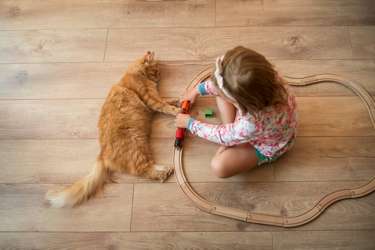 Cats ‘Taking Control’ of Toddler’s New Train Set Is Like a Swift Kick ...