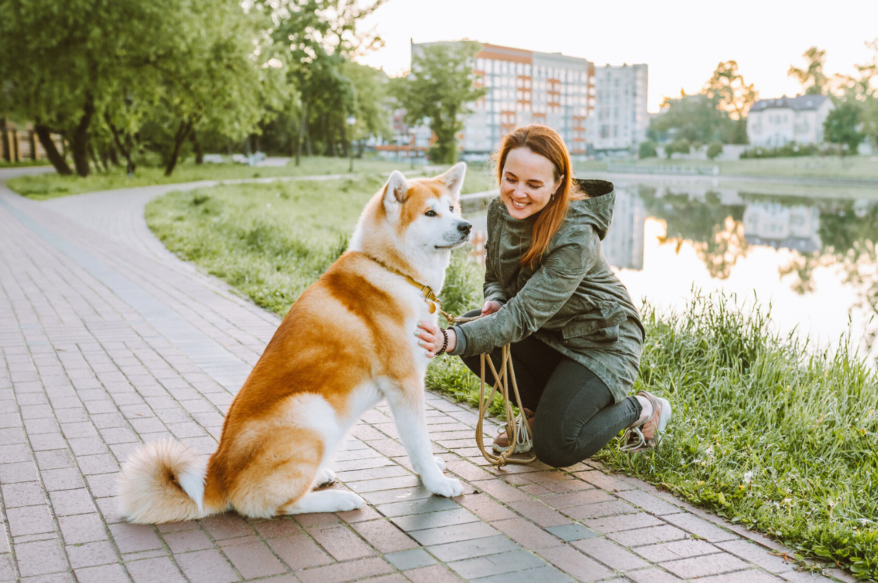 5 Dog Breeds Best Suited for One-Dog Homes - Parade Pets