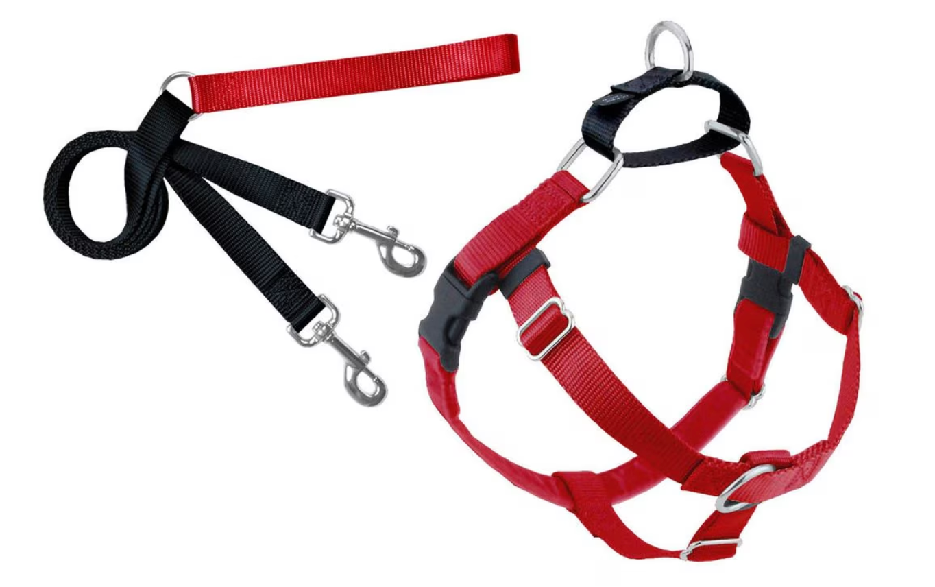 5 Best Dog Harnesses for Senior Citizens, According to Experts - Parade ...