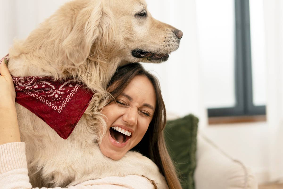Golden Retriever Asking for Hugs During Grooming Session Will Turn You ...
