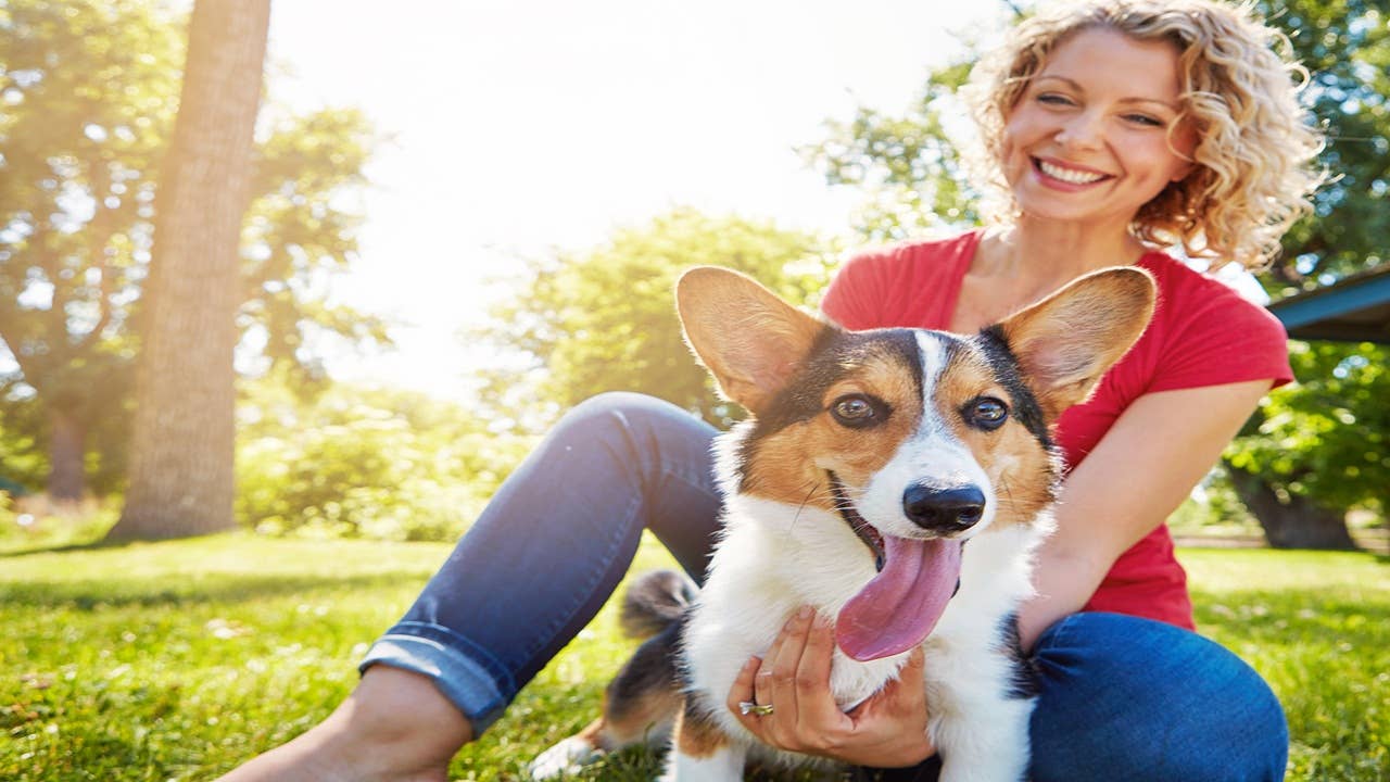 Top 5 Vet-Approved Luxury Pet Wellness Trends - Parade Pets
