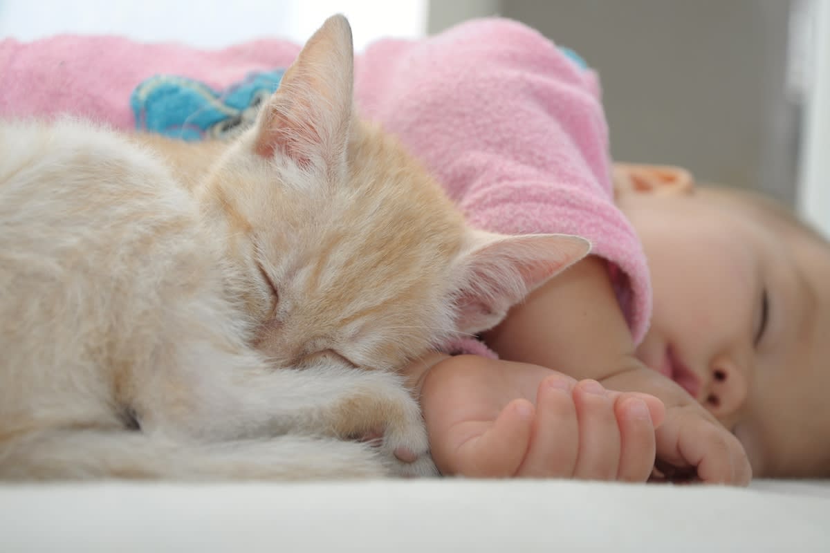 Cat Snuggles Newborn Baby and Builds the Best Friendship - Parade Pets