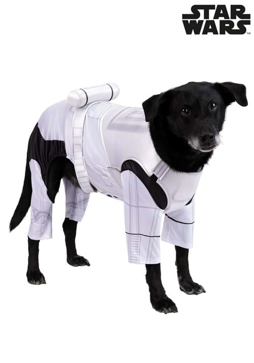13 Best 'Star Wars' Costumes for Dogs This Halloween - Parade Pets