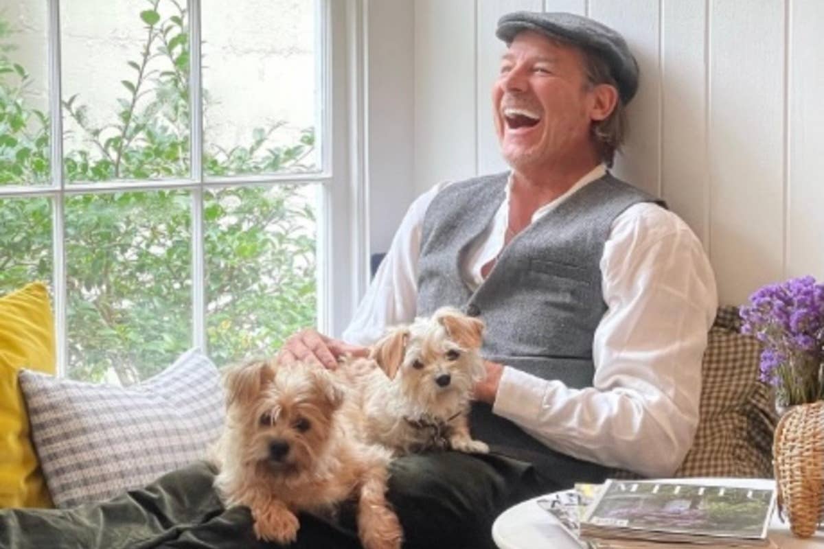 TV Host Ty Pennington on How You Can Help on Pet Hunger Day - Parade Pets