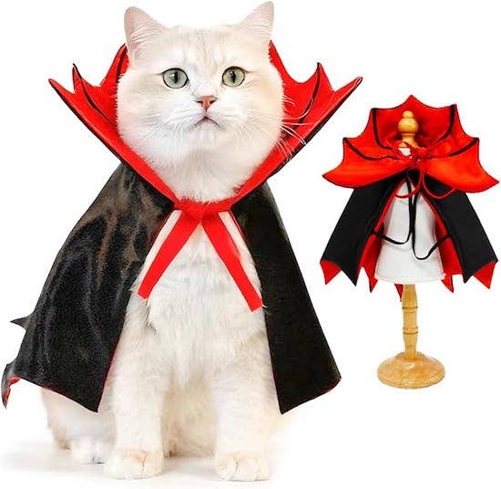 30 Best Halloween Costumes for Cats This Spooky Season - Parade Pets