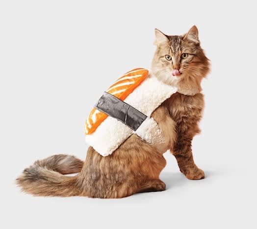 30 Best Halloween Costumes for Cats This Spooky Season - Parade Pets