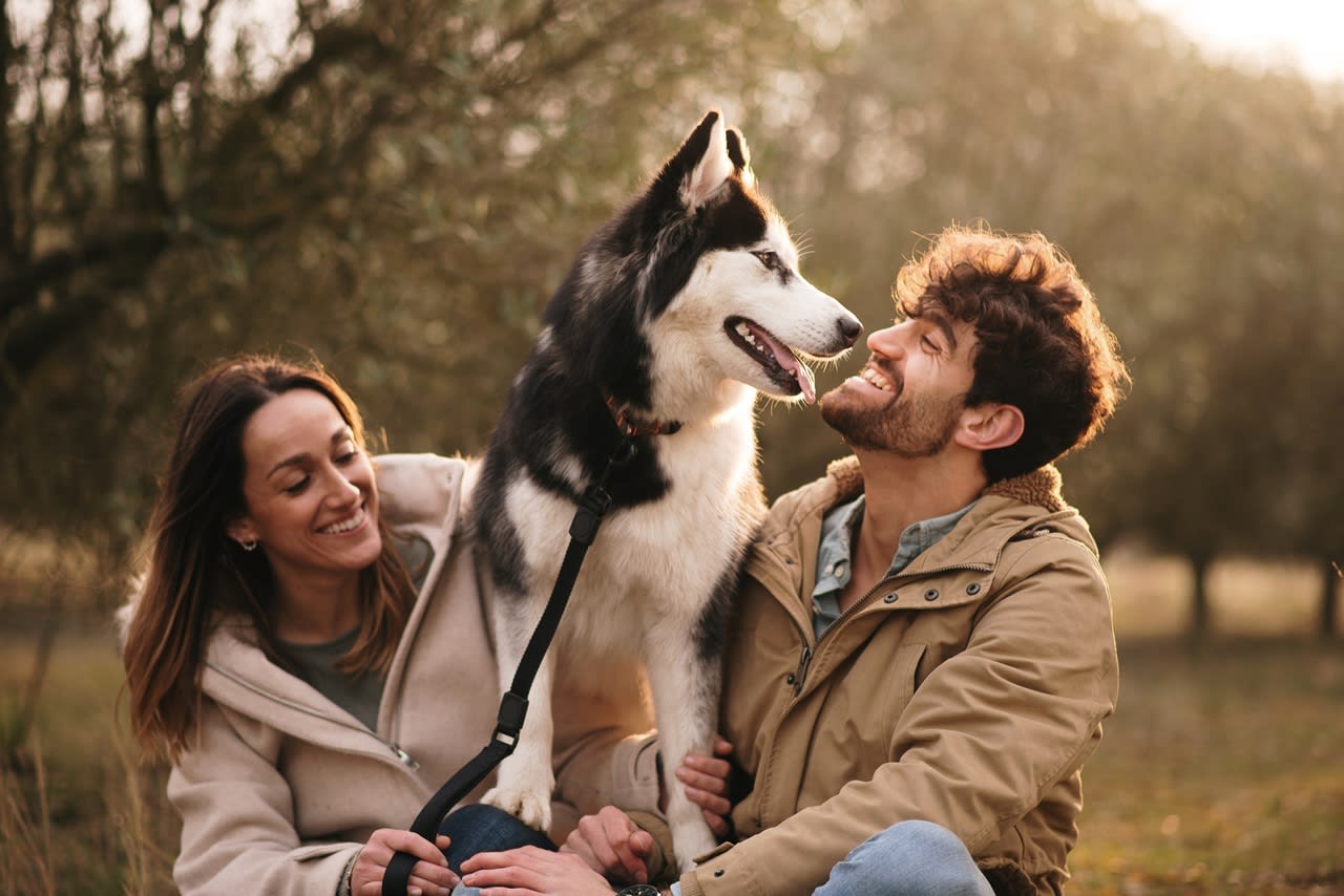 7 Russian Dog Breeds That’ll Make You Say “Aww," Via Experts - Parade Pets