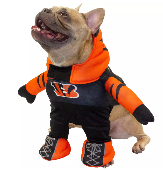 Gear up For Halloween With These NFL-Themed Costumes - Parade Pets