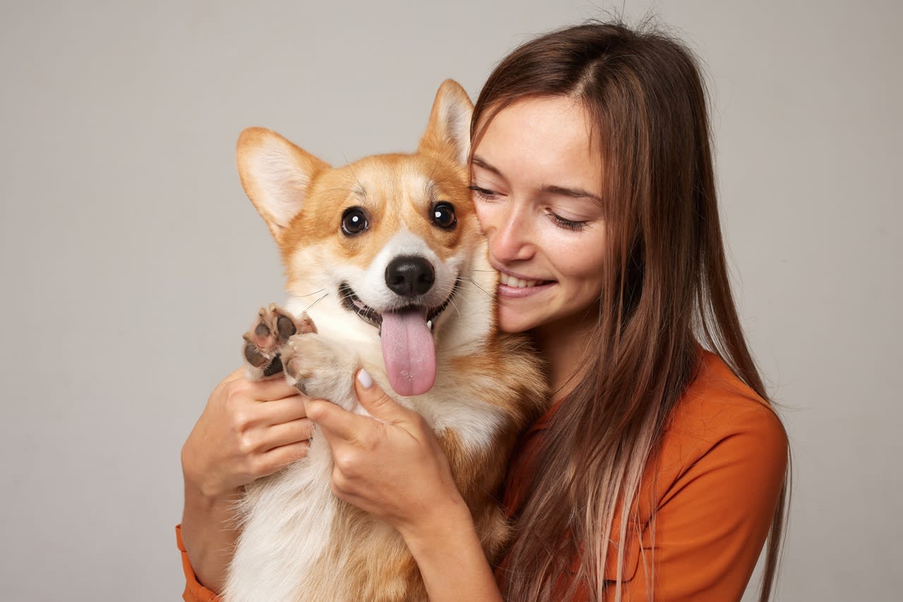 7 Cute Dog Breeds That Start With 'C' Who Spark Happiness - Parade Pets