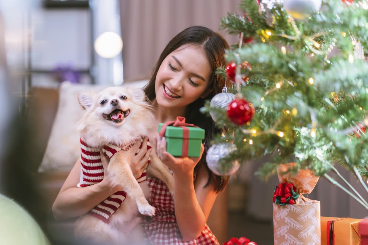 The #1 Mistake Pet Parents Make When Hosting Holiday Parties - Parade Pets