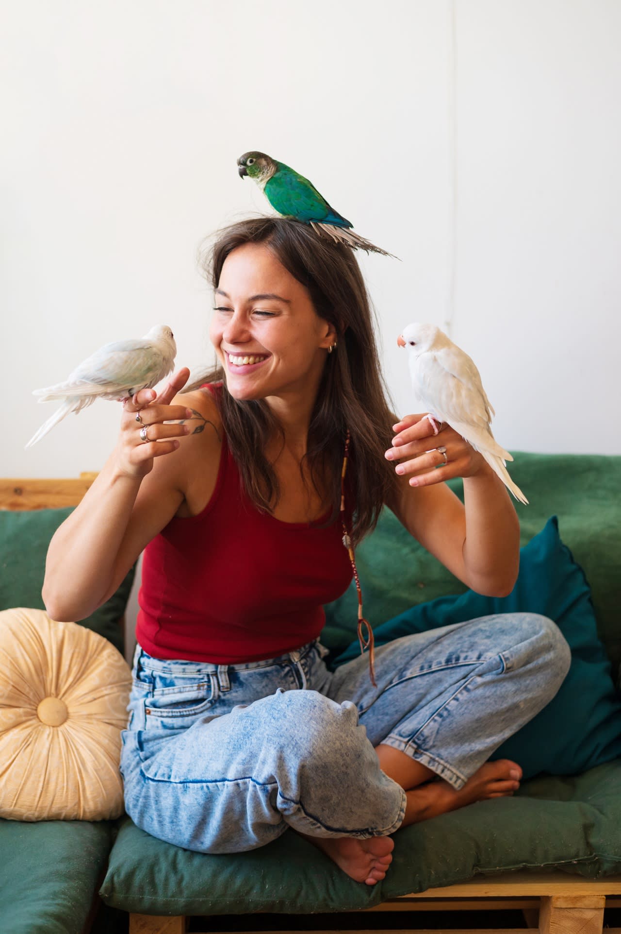 10 Signs Your Parrot Is Happy & Healthy, Experts Say - Parade Pets