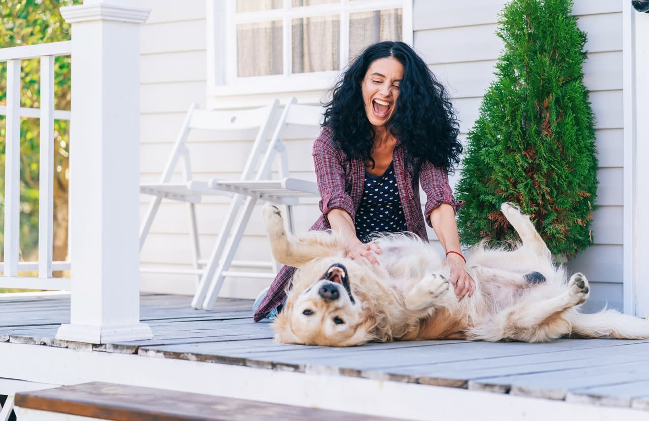 8 Words That Make Your Dog Feel Happy, Says a Trainer - Parade Pets