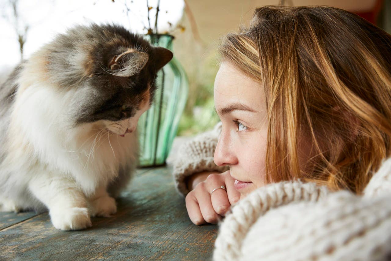 How Do Cats Say 'Thank You'? - Parade Pets