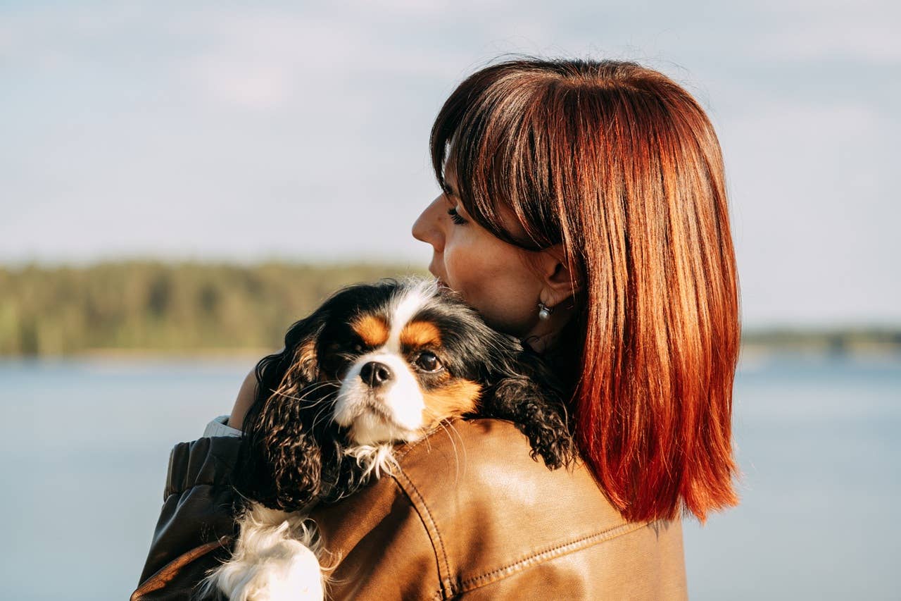 6 Comforting & Calm Dog Breeds That Melt Stress Away - Parade Pets